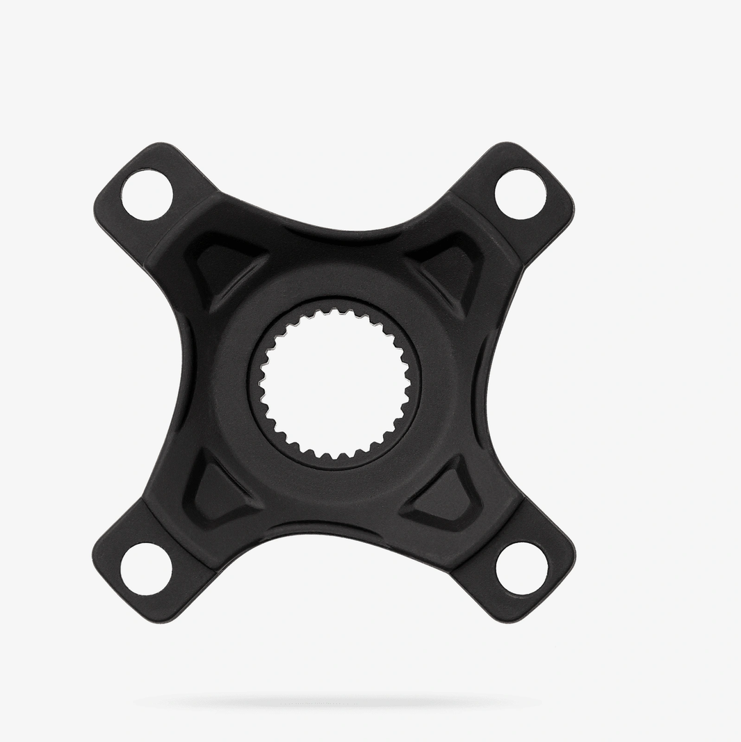 Spiders – Miranda Bike Store